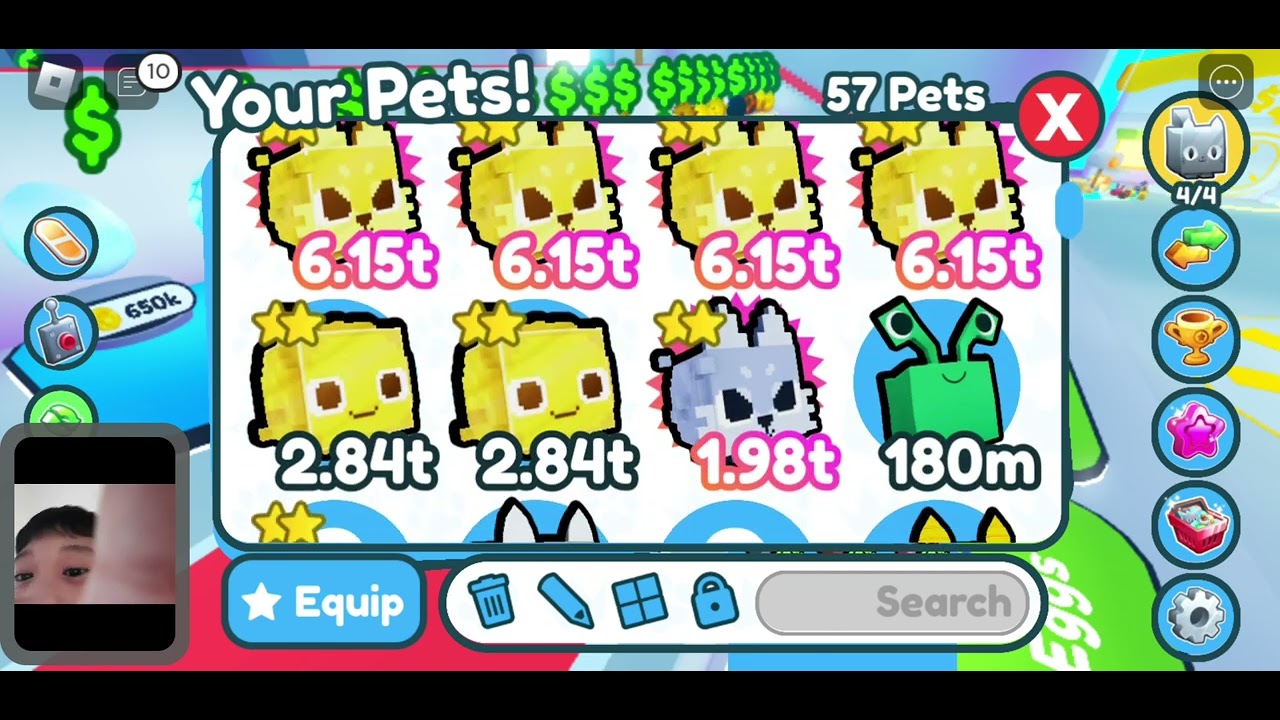 pets simlator x - YouTube