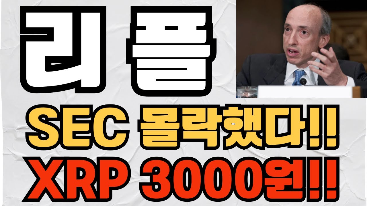 리플 코인 미국 Sec 몰락했다 긴급속보 위원장 교체 언급에 아비규환 Xrp 3000원 리플목표가 리플호재 리플전망 리플코인목표가 리플코인호재 리플코인