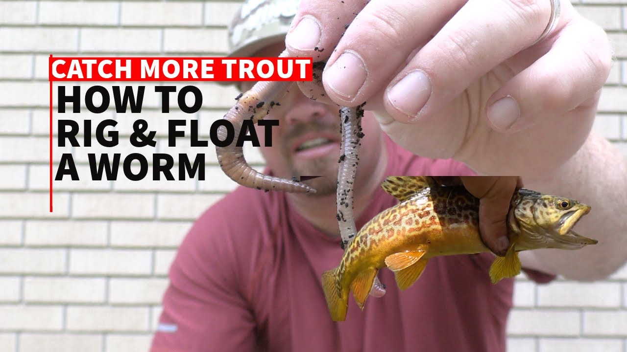 BEST Trout Fishing Tip! How To Float a Worm!! - YouTube
