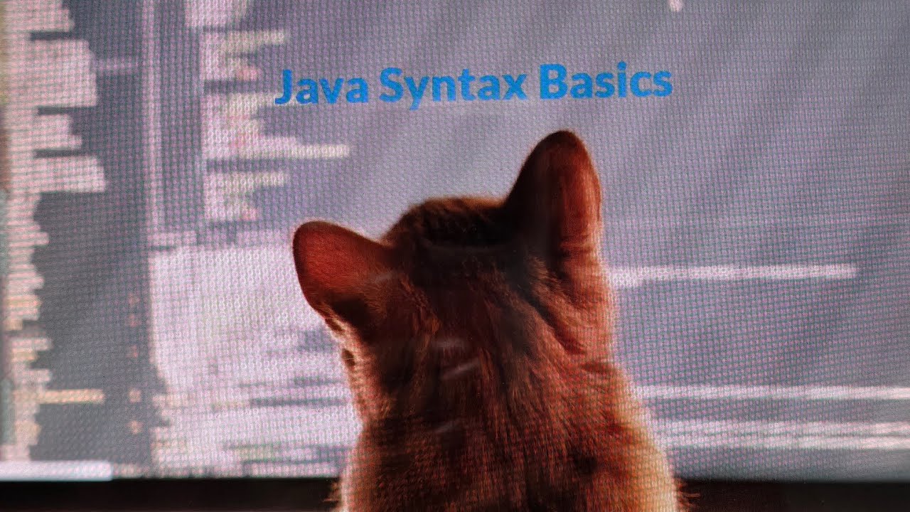 Java Syntax Explained | Learn Java Basics for Beginners - YouTube