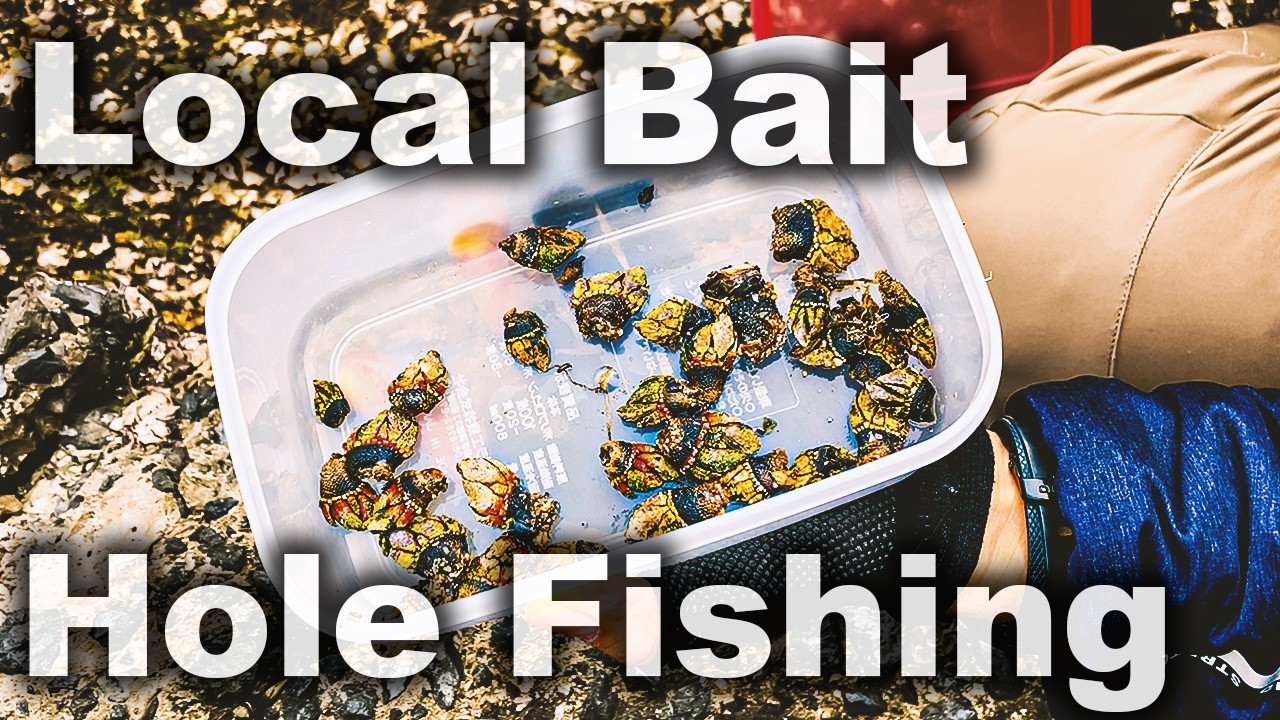 Japanese anglers get their bait locally and live off the fish they ...