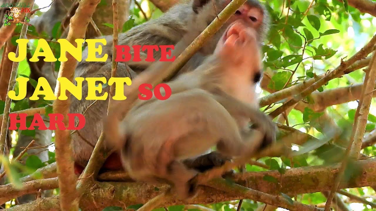 BREAK HEART MOM JANE BITE HER DAUGHTER SO HARD , JANET CRY LOUDLY HIGH ...