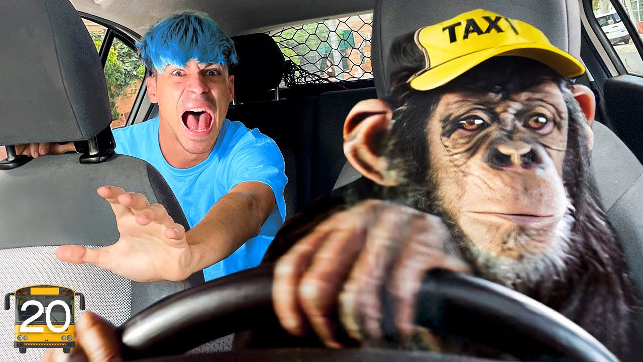 Un MONO Me ROBA el COCHE… - YouTube