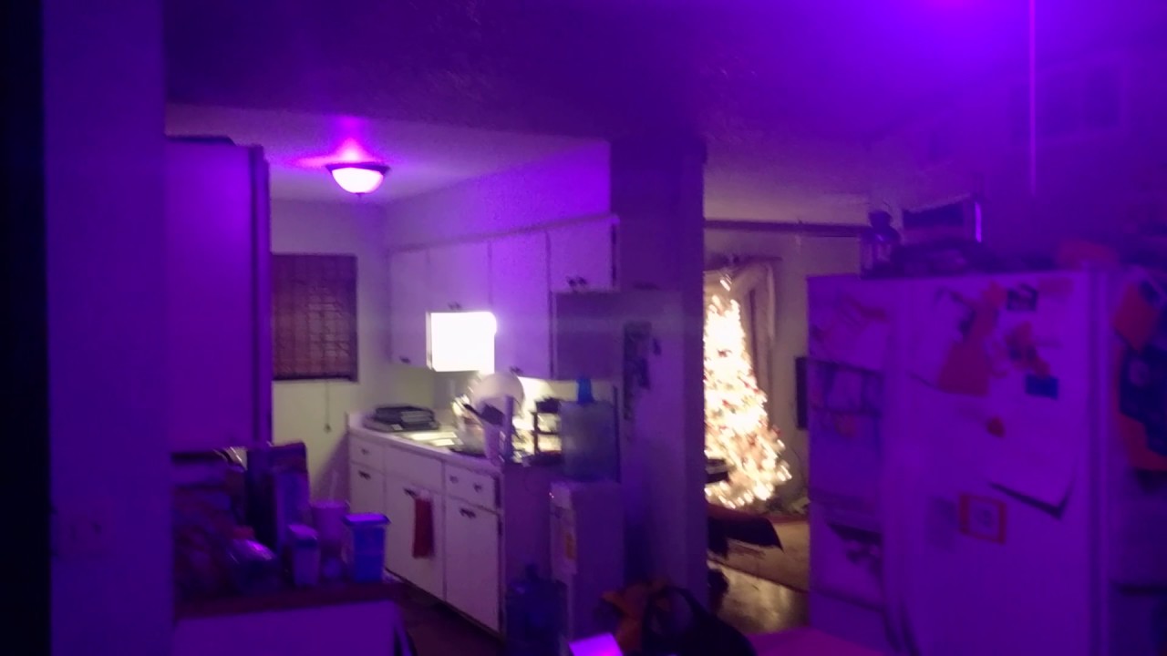 Rod Stewart Hue Lights in the kitchen and dining room - YouTube