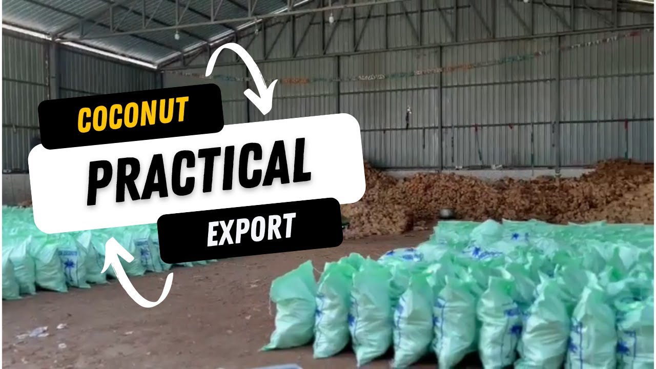 coconut export from mumbai | How to export coconut | export import ...