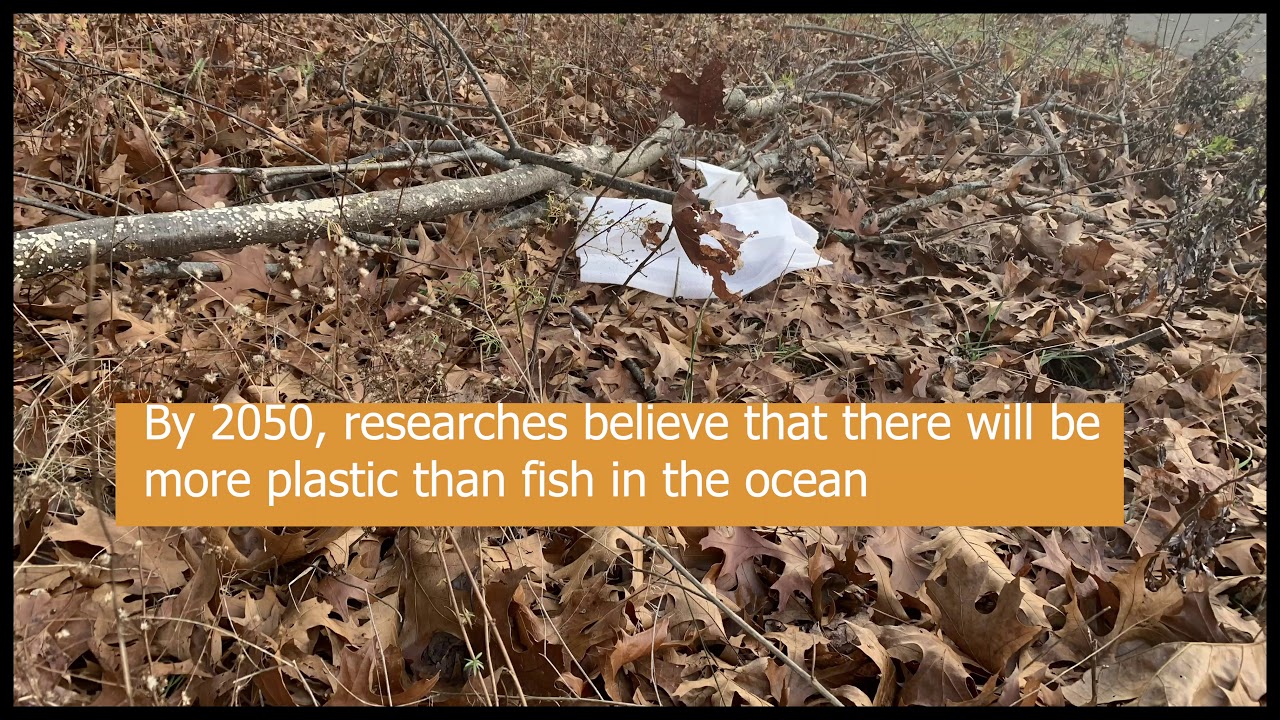 Final Litter Video for JRN - YouTube