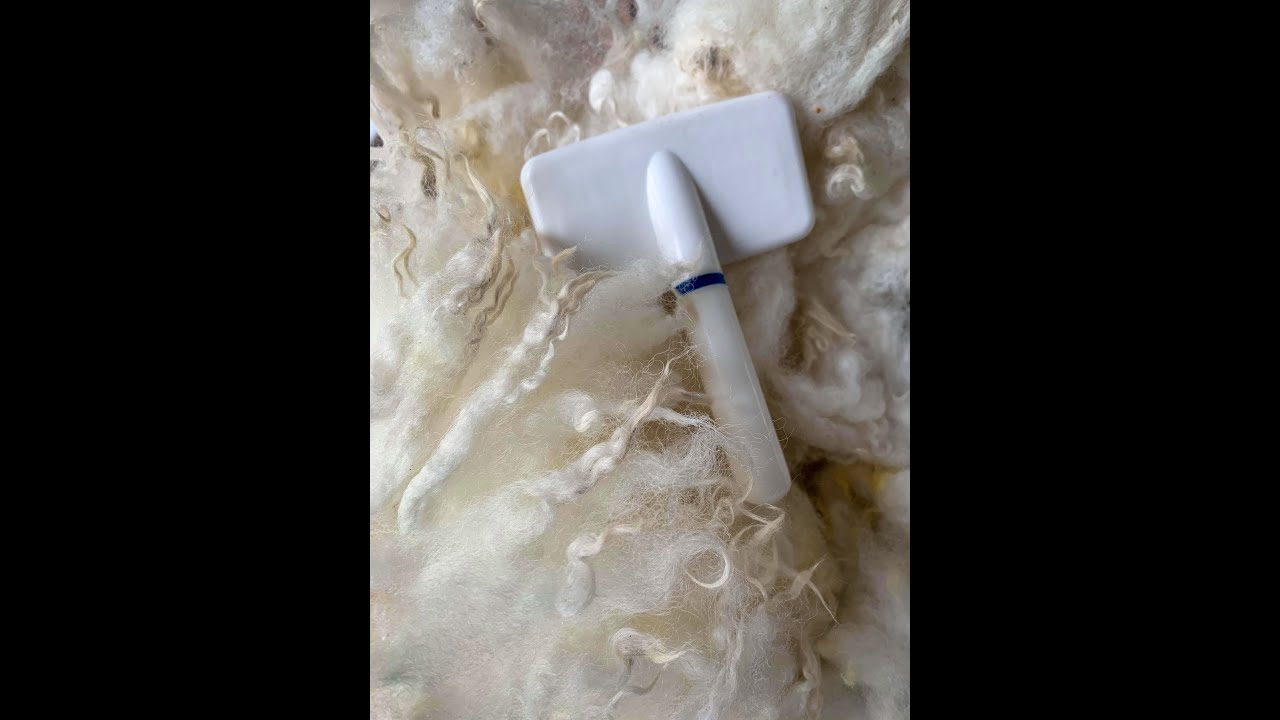 How to flick card wool locks - short video - YouTube