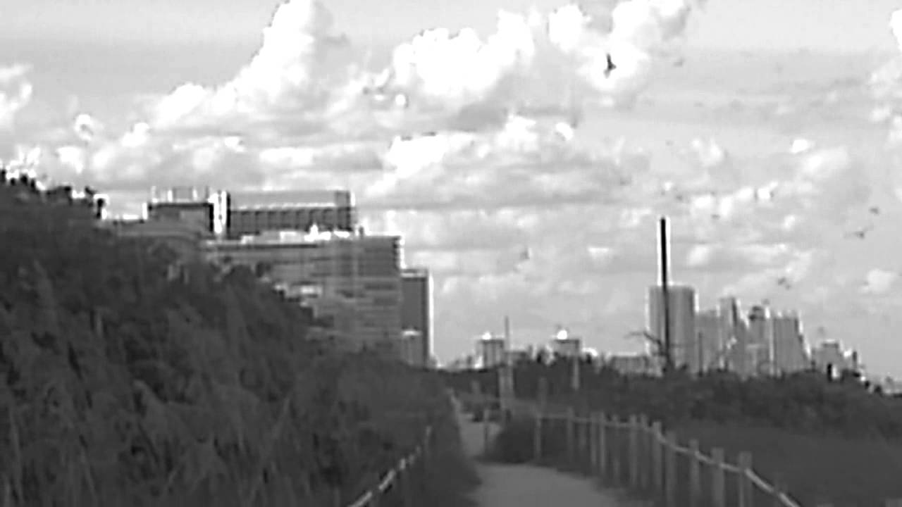 Angry Locust - YouTube