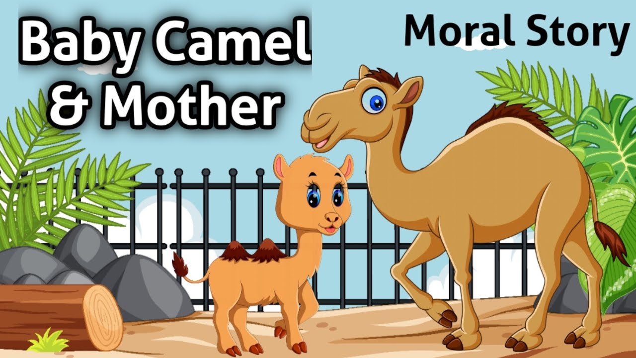 Baby Camel and Mother | English Cartoon | Animal Moral Stories for Kids ...