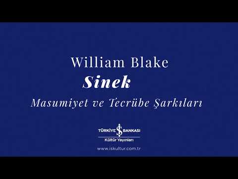 Pazartesi Şiiri Seçkimiz William Blake’ten!