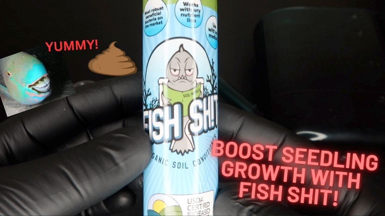 Boost Seedling Growth with Fish Sh!t: Proper Dosing for Autoflowers ...
