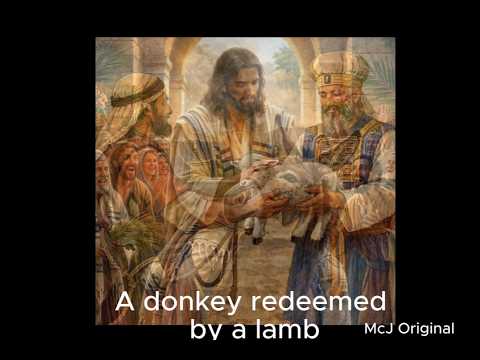 AnotherLevelMcJ - A donkey redeemed by a Lamb