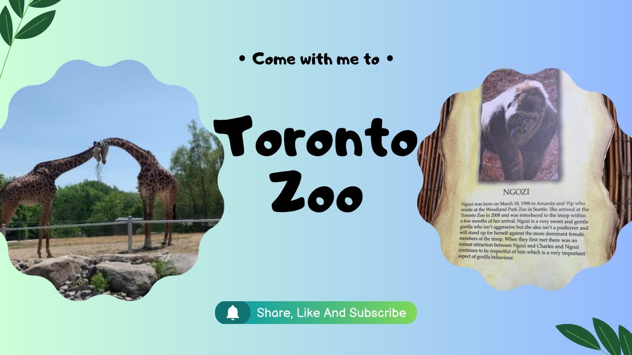 Let's explore Toronto Zoo | The largest zoo in Canada - YouTube