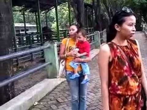 dikebun binatang.3GP