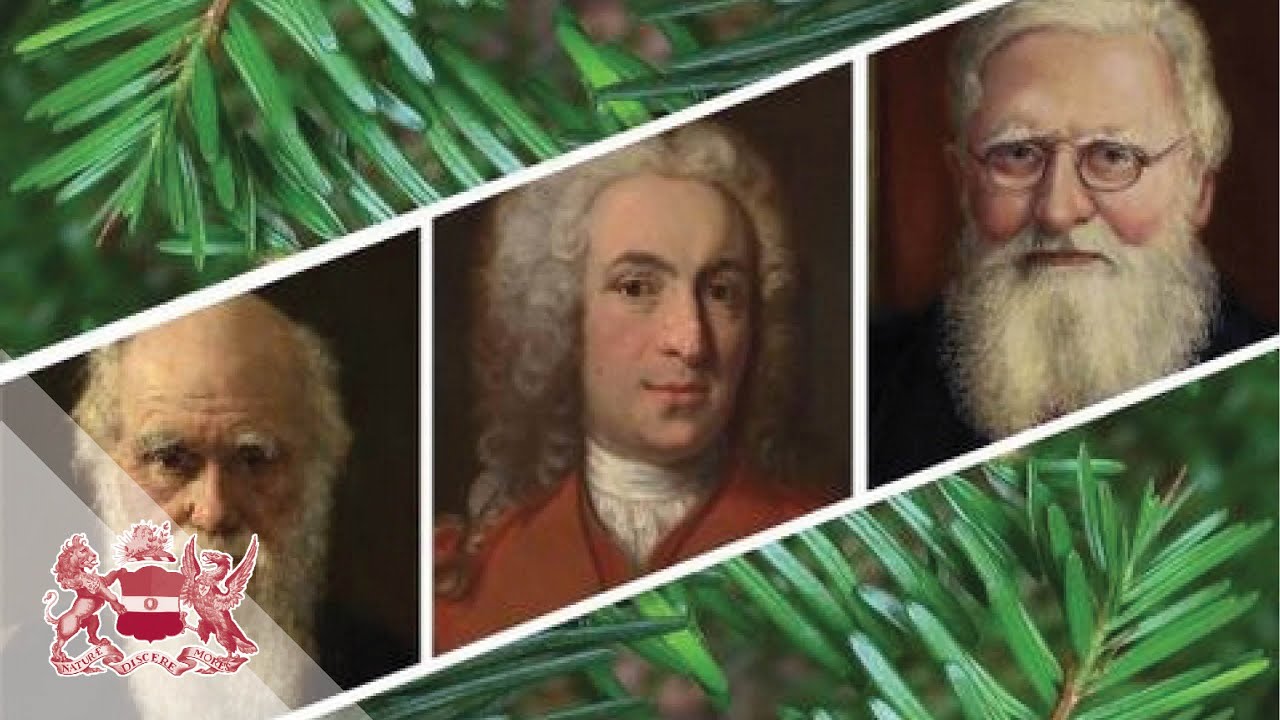 The Causes and Consequences of Natural Selection for Speciation | Robin ...