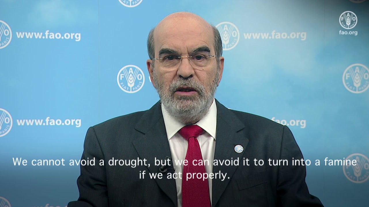 FAO Director-General’s message on World Desertification and Drought Day ...