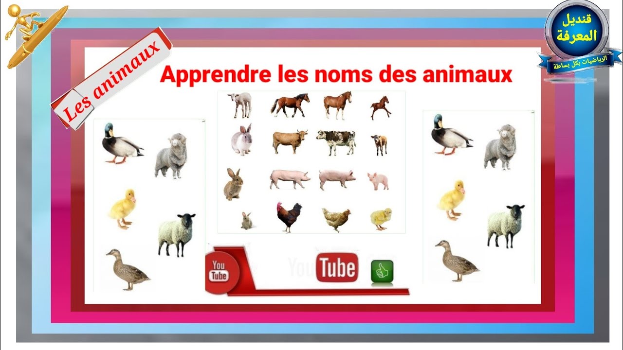 Apprendre tous les noms des animaux de la ferme 🐔🦃🦆🐫🐂💯 - YouTube
