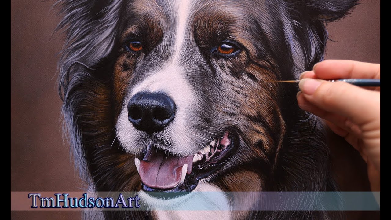 Painting a super realistic dog - Seal merle Border Collie timelapse ...