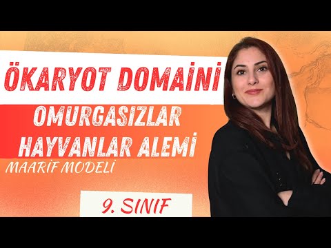 8) ÖKARYOT DOMAİNİ - OMURGASIZLAR - HAYVANLAR ALEMİ - 9. SINIF BİYOLOJİ - MAARİF MODELİ