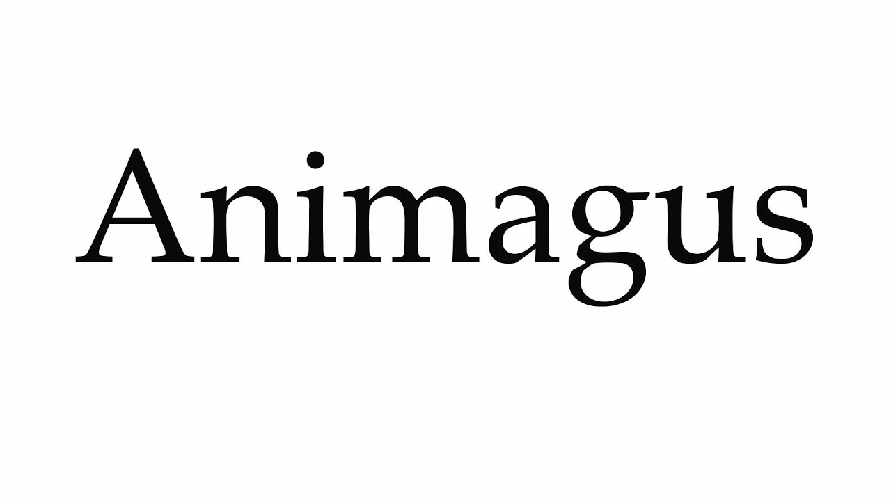 How to Pronounce Animagus - YouTube