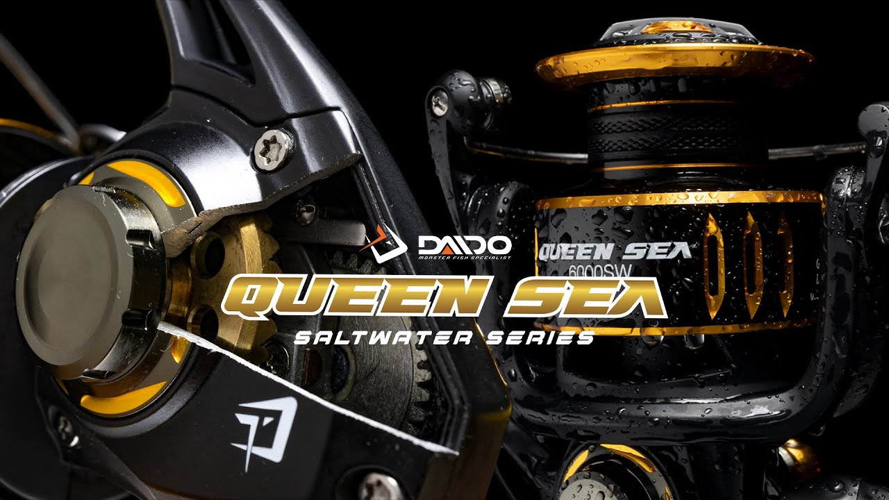 INTRODUCING DAIDO QUEENSEA SW SPINNING REEL - YouTube