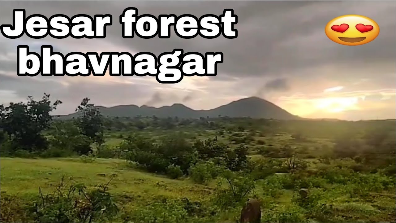 Jesar forest bhavnagar || Paradise of bhavnagar || ભાવનગર નુ સ્વર્ગ ...