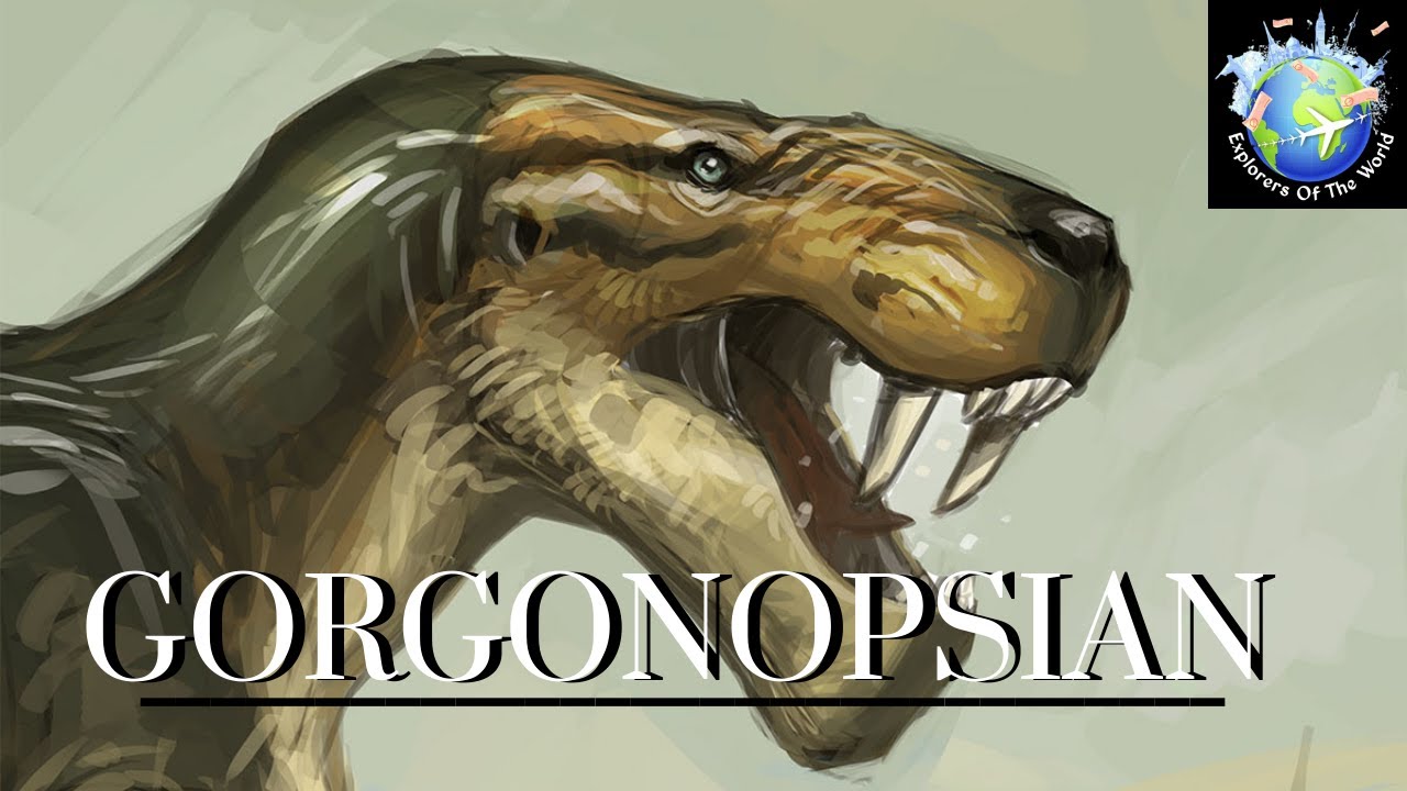 The Mysterious Gorgonopsian A Prehistoric Predator - YouTube