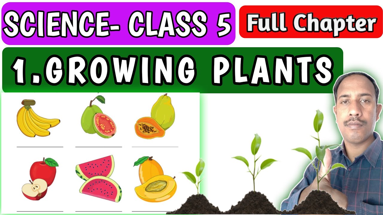 growing plants class 5|reproduction in plants class 5|ch1 science class ...