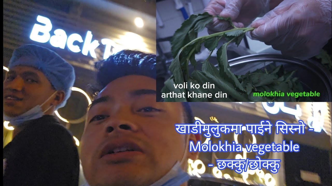 aaja hami khadimuluk ma paine sisno - खाडीमुलुकमा पाईने सिस्नो ...