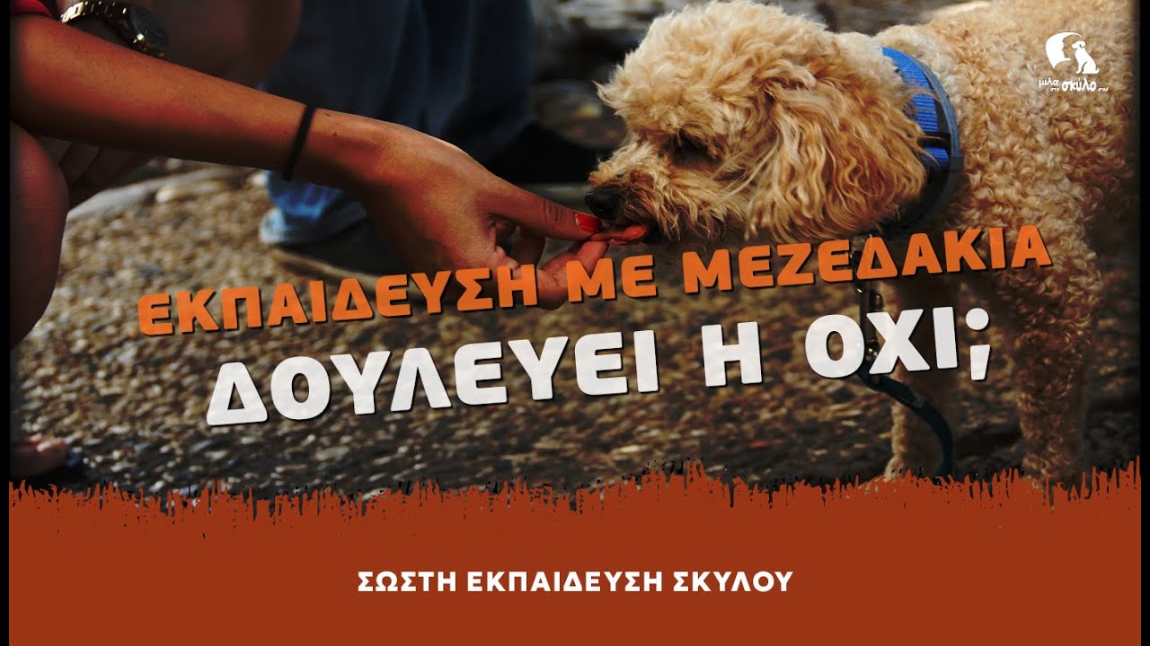 ΣΩΣΤΗ ΕΚΠΑΙΔΕΥΣΗ ΣΚΥΛΟΥ #7 - Εκπαίδευση με μεζεδάκια. Δουλεύει ή όχι ...