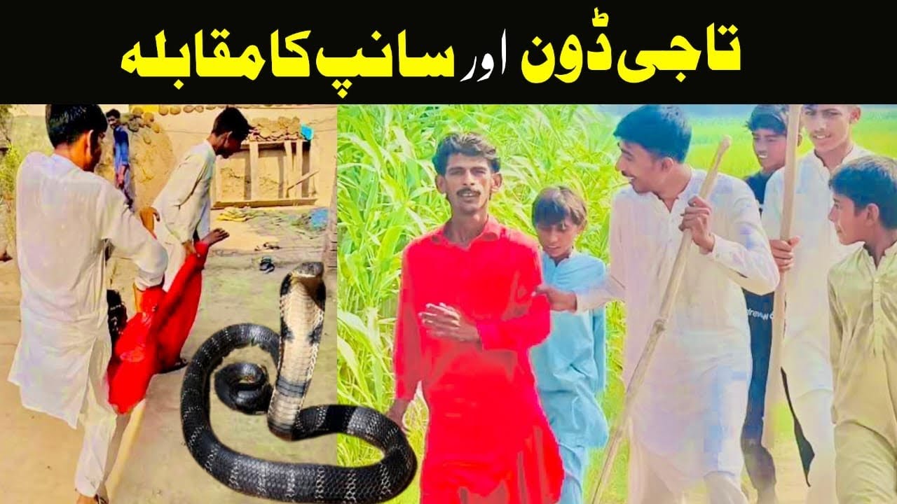 Funny video | Most Funny video | Taji don with snake - YouTube