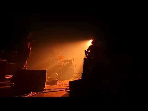 Koala Disco - YouTube