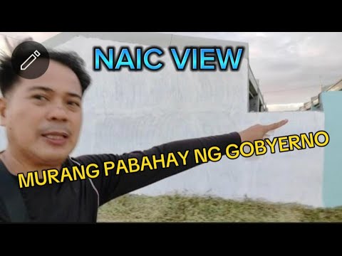 UPDATE NAIC VIEW, FEBRUARY 12, 2024 - YouTube