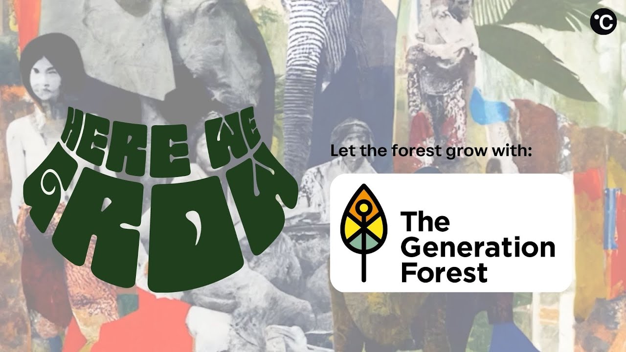 Let the forest grow with The Generation Forest - YouTube