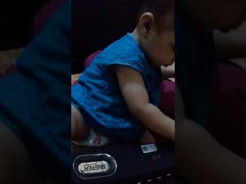 P.T.I song fan