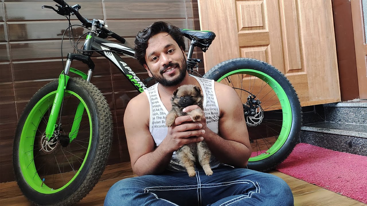I Finally Got my Favorite Dog & Cycle & I Traveled 55 Km on Cycle in 4 ...