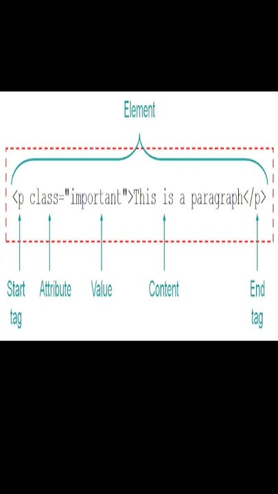 What is Attribute in HTML #html #roadmap #webdesign #webdeveloper - YouTube