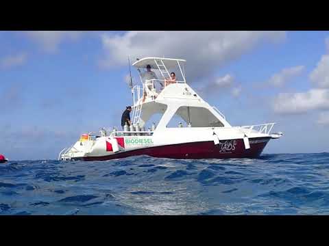 Topaz deep dive - YouTube