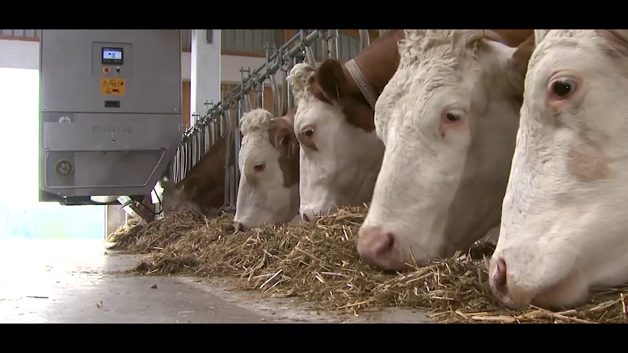 GEA Farm Technologies take your farm to the next level 💪🐄 - YouTube