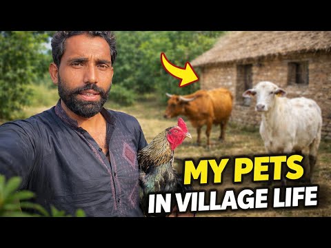 My Urdu was very weak so I hope you understood my attention gyes 