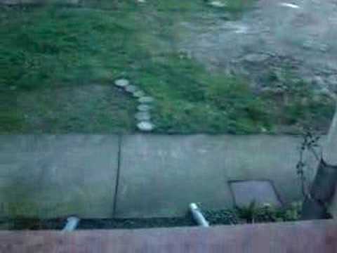 Test Video From Sony DSC - W85 - YouTube