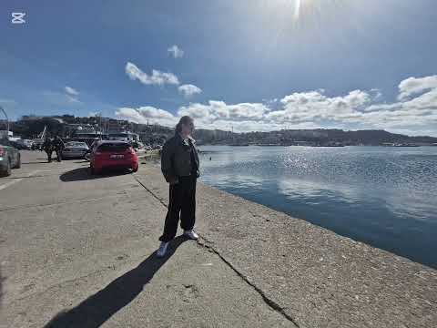 Miranaz Türkyılmaz= Bekledim sahilde 