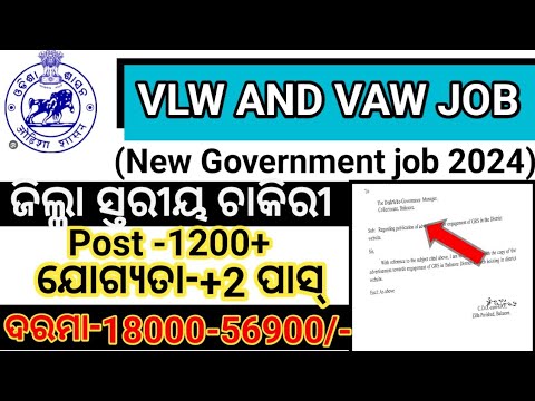 DISTRICT LEVEL JOB//VLE AND VAW RECRUITMENT 2024// +2 PASS JOB//ଜିଲ୍ଲା ସ୍ତରୀୟ ସରକାରୀ ଚାକିରି 😱😄 ...