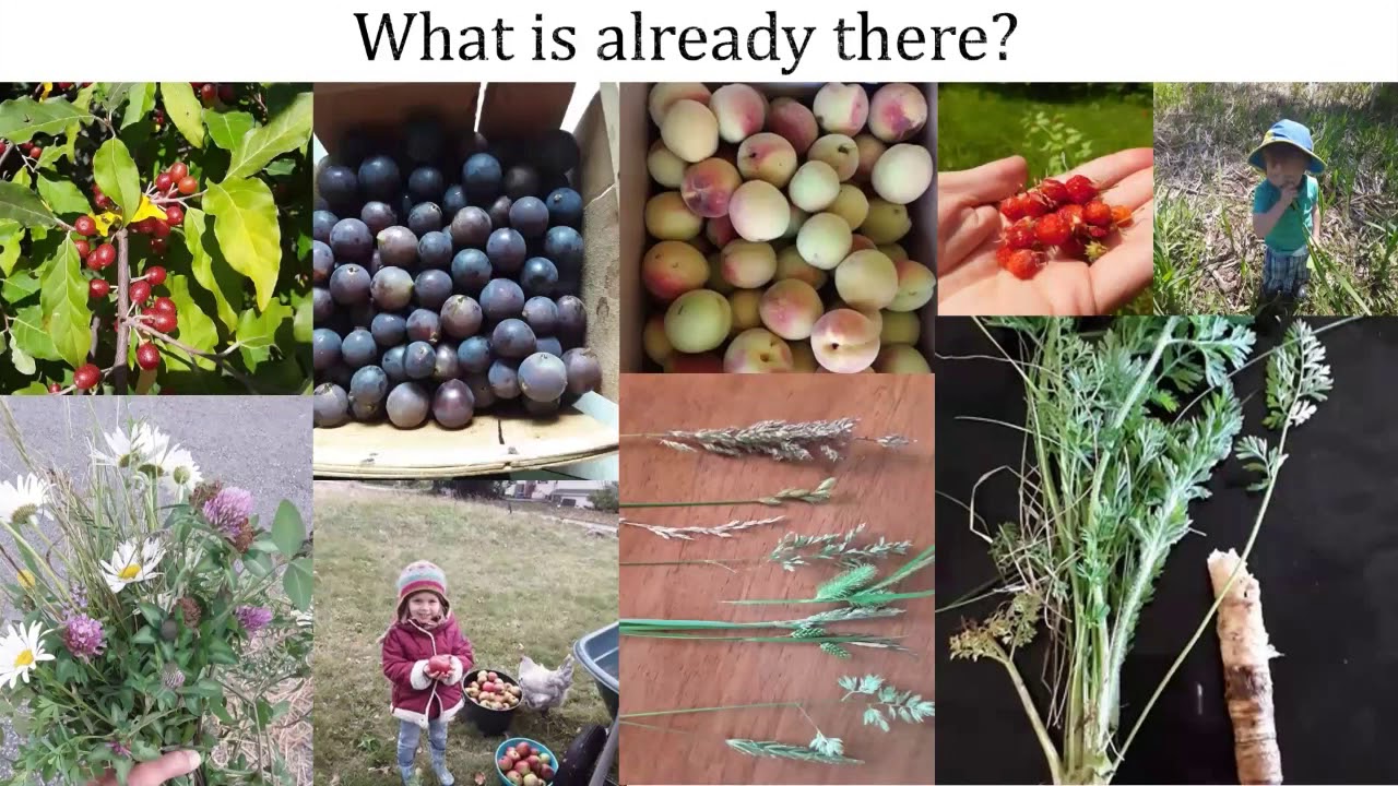 Will Strouse - From Farm to Data Table | ATUG (December 10, 2020) - YouTube