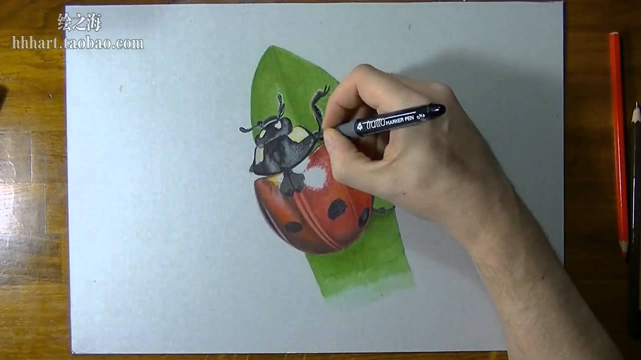How I draw a ladybug realistic drawing大自然的一抹美好风景 - YouTube