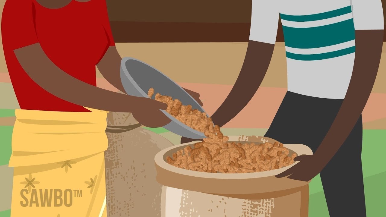 Okuziyiza obutwa obuletebwa oluwumbu/ okukula (aflatoxin) mu binyebwa ...