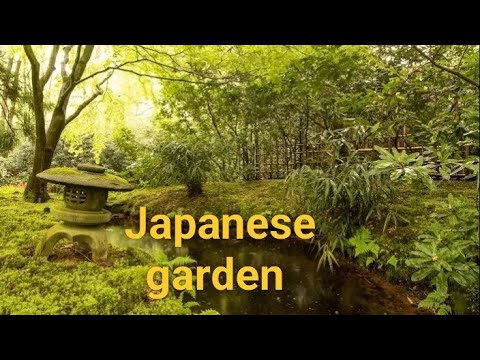 Japanese garden with my family #beautiful 