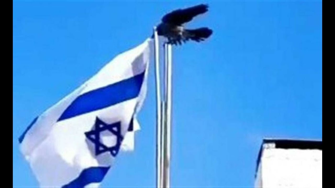 Omen: Crow Angrily Tears Down Israeli Flag - YouTube