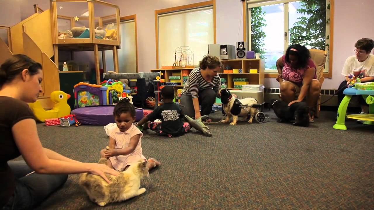 Paying it Forward: Home for Life animals give back to kids - YouTube
