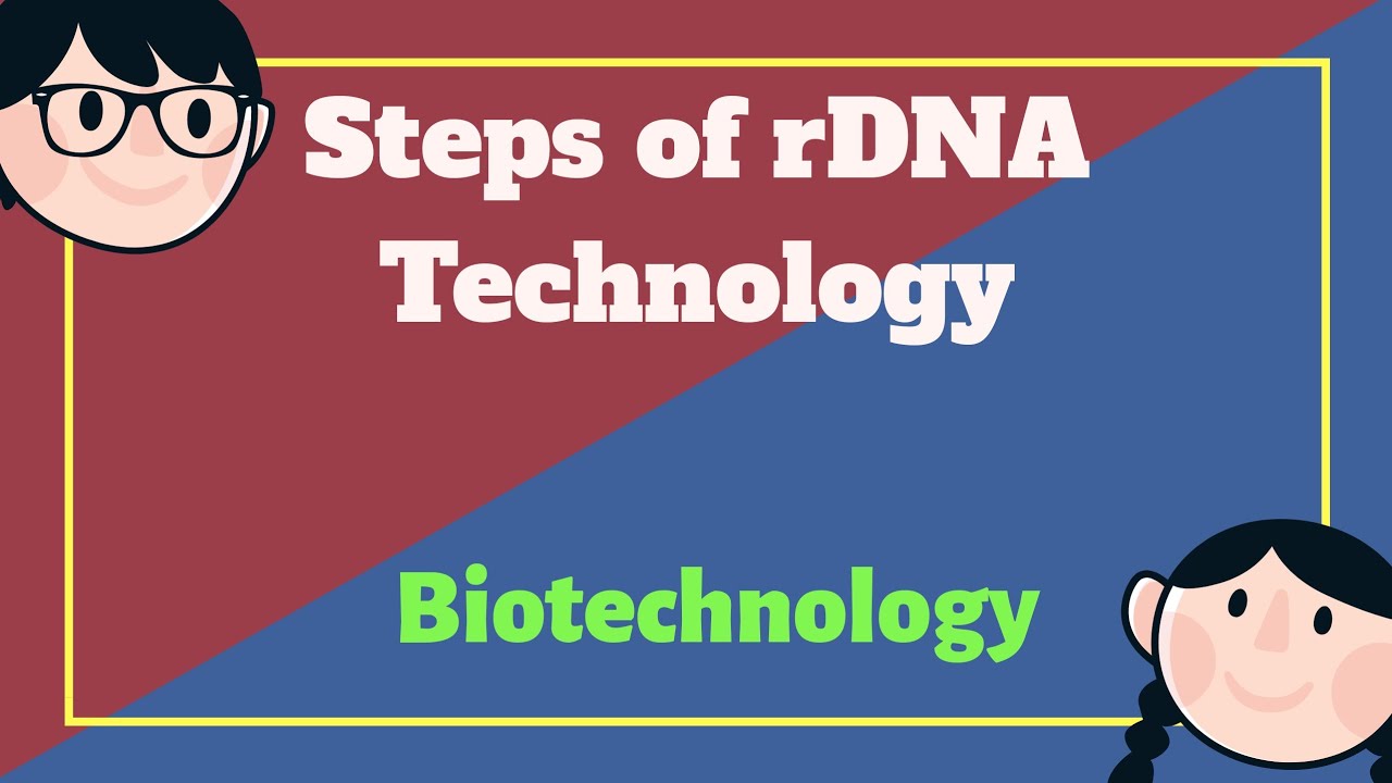 Steps of rDNA technology || Part-2 || Biotechnology || Vinay Biology ...
